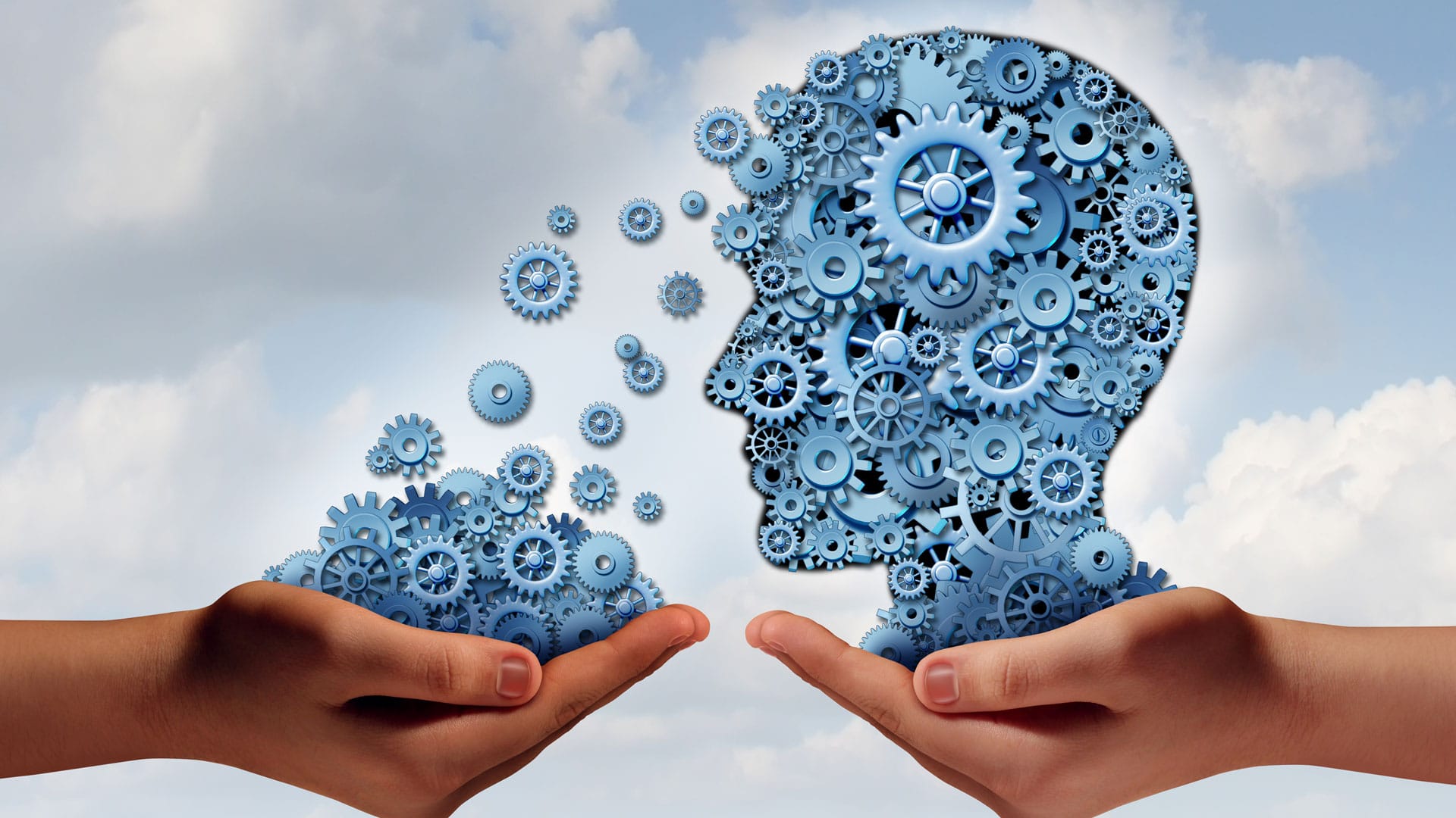 Product Training – BirchStreet Systems